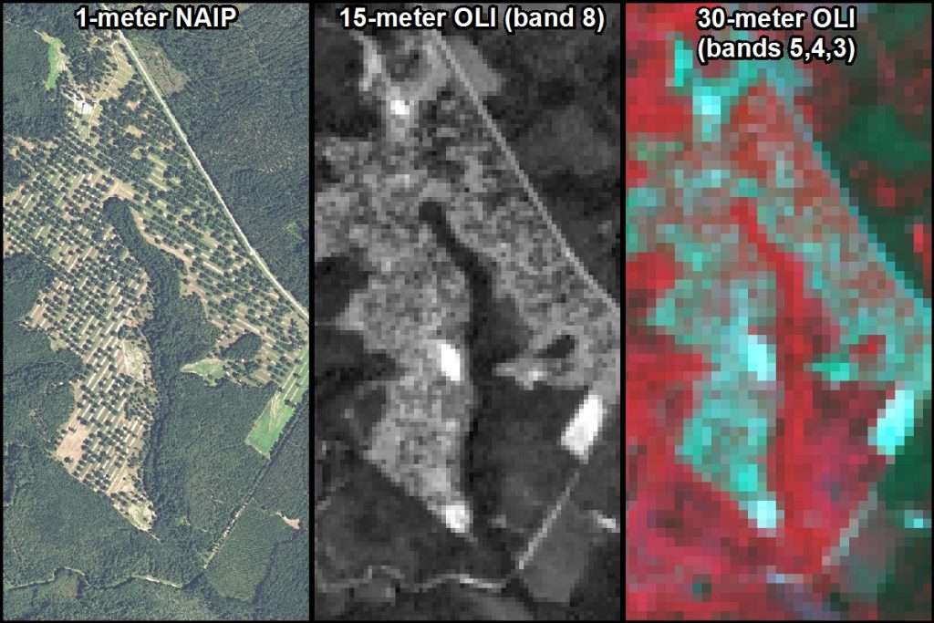 Week 16: Satellite Remote Sensing – GISNOTE